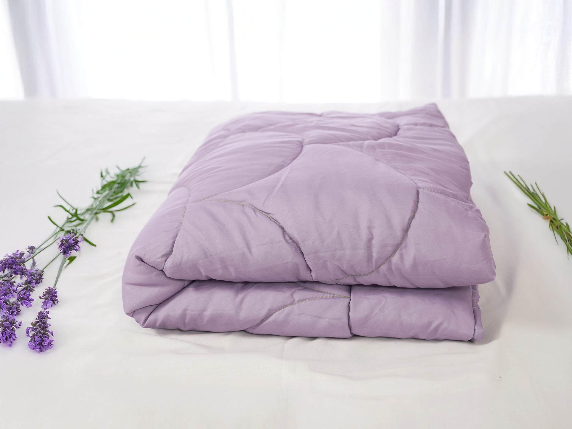 Jorgan Lavender Dream